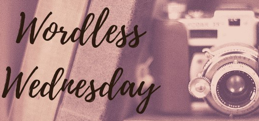 What is Wordless Wednesday? – Journey Through the Generations